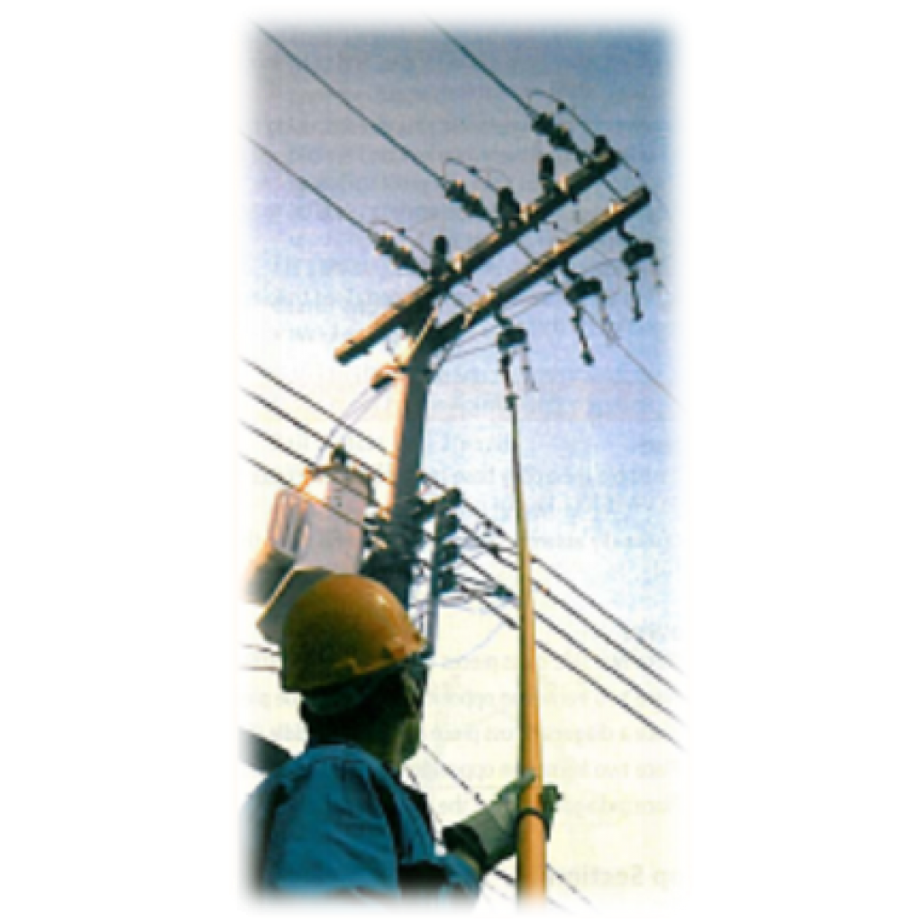 Pole Inspection/Maintenance | Forcorp PTY LTD